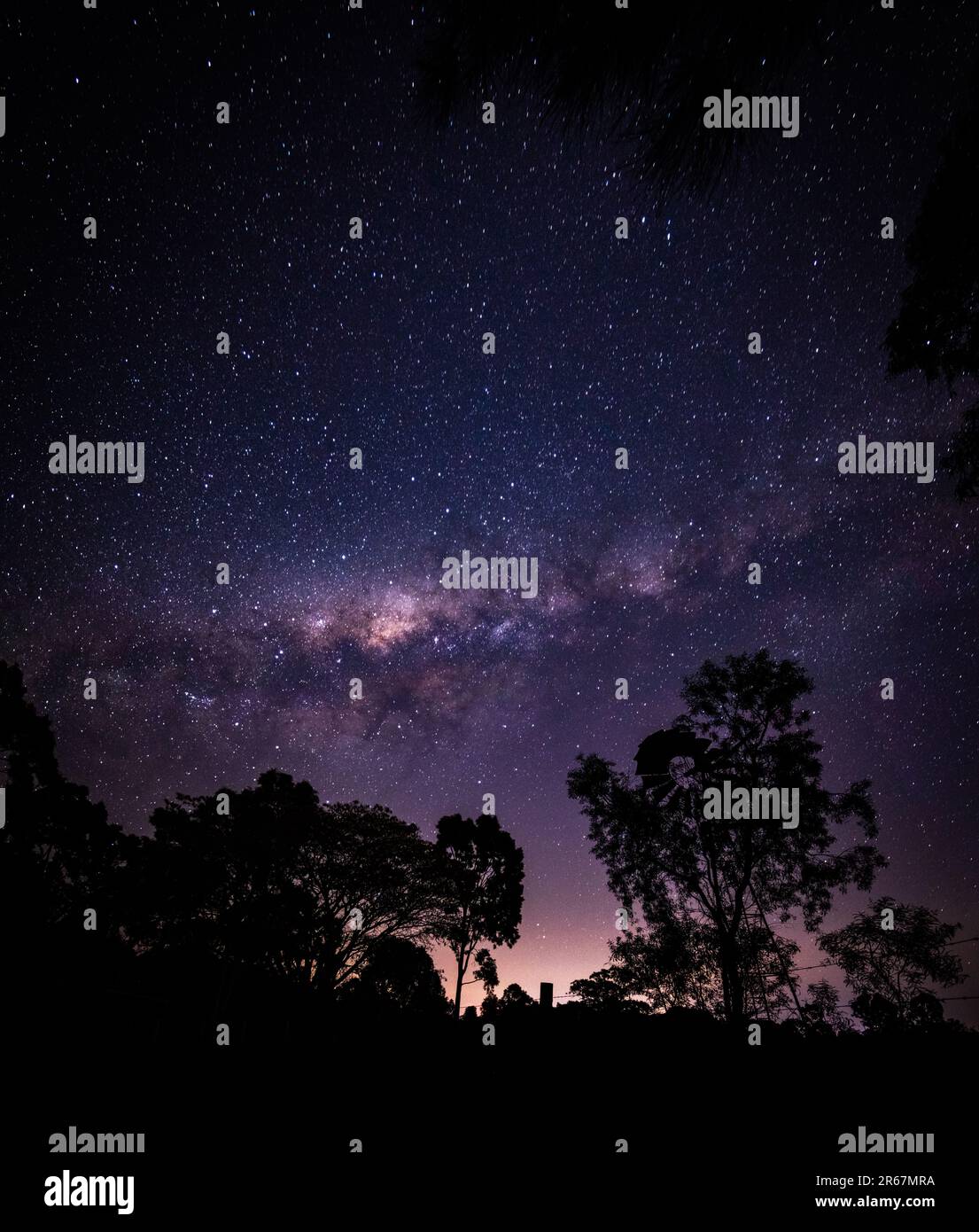 A majestic night sky featuring a canopy of stars above lush trees in ...