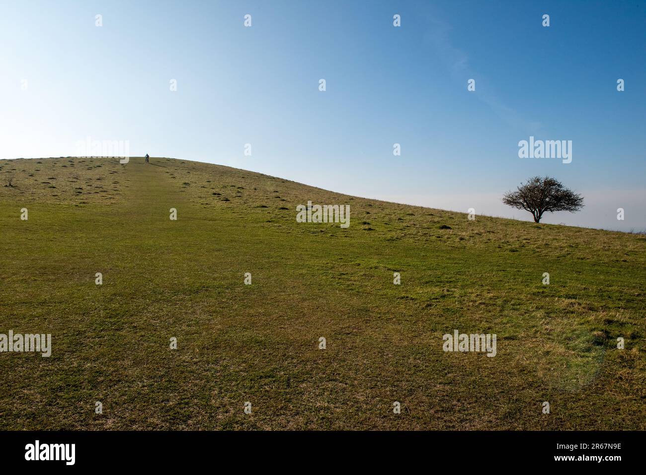Landscapes at Ashridge Estate Walk Stock Photo - Alamy
