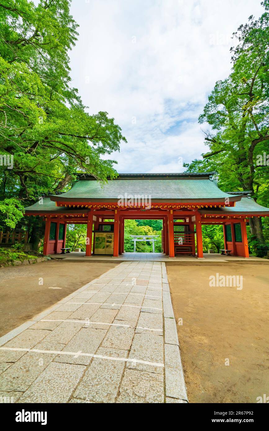 Katori Jingu Shrine in fresh green Stock Photo - Alamy