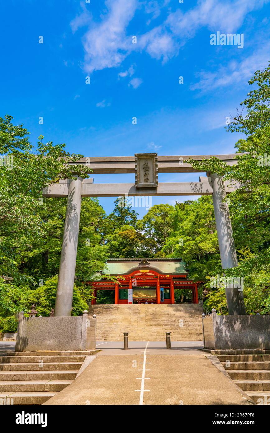 Katori Jingu Shrine in fresh green Stock Photo - Alamy