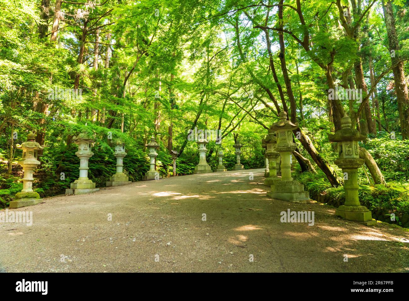 Katori Jingu Shrine in fresh green Stock Photo - Alamy