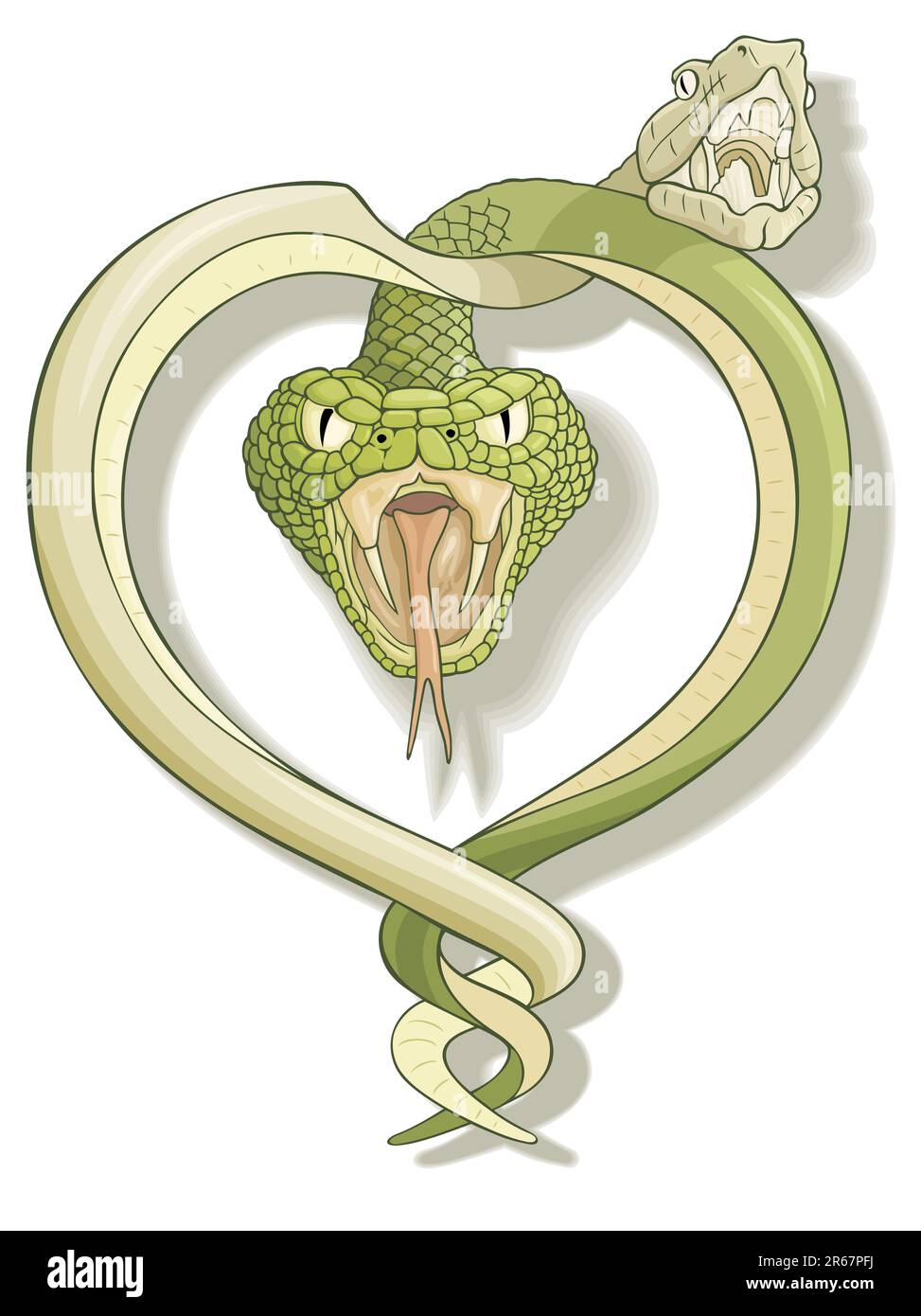 Two snakes bound in a ring on a white background. A vector illustration ...