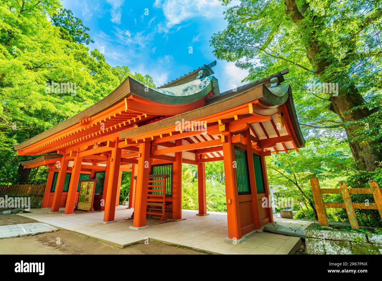 Katori Jingu Shrine in fresh green Stock Photo - Alamy