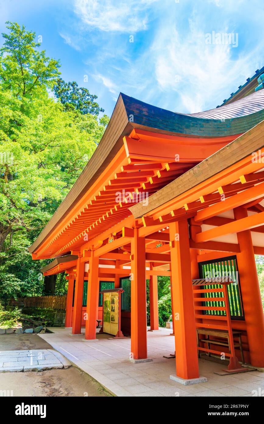 Katori Jingu Shrine in fresh green Stock Photo - Alamy