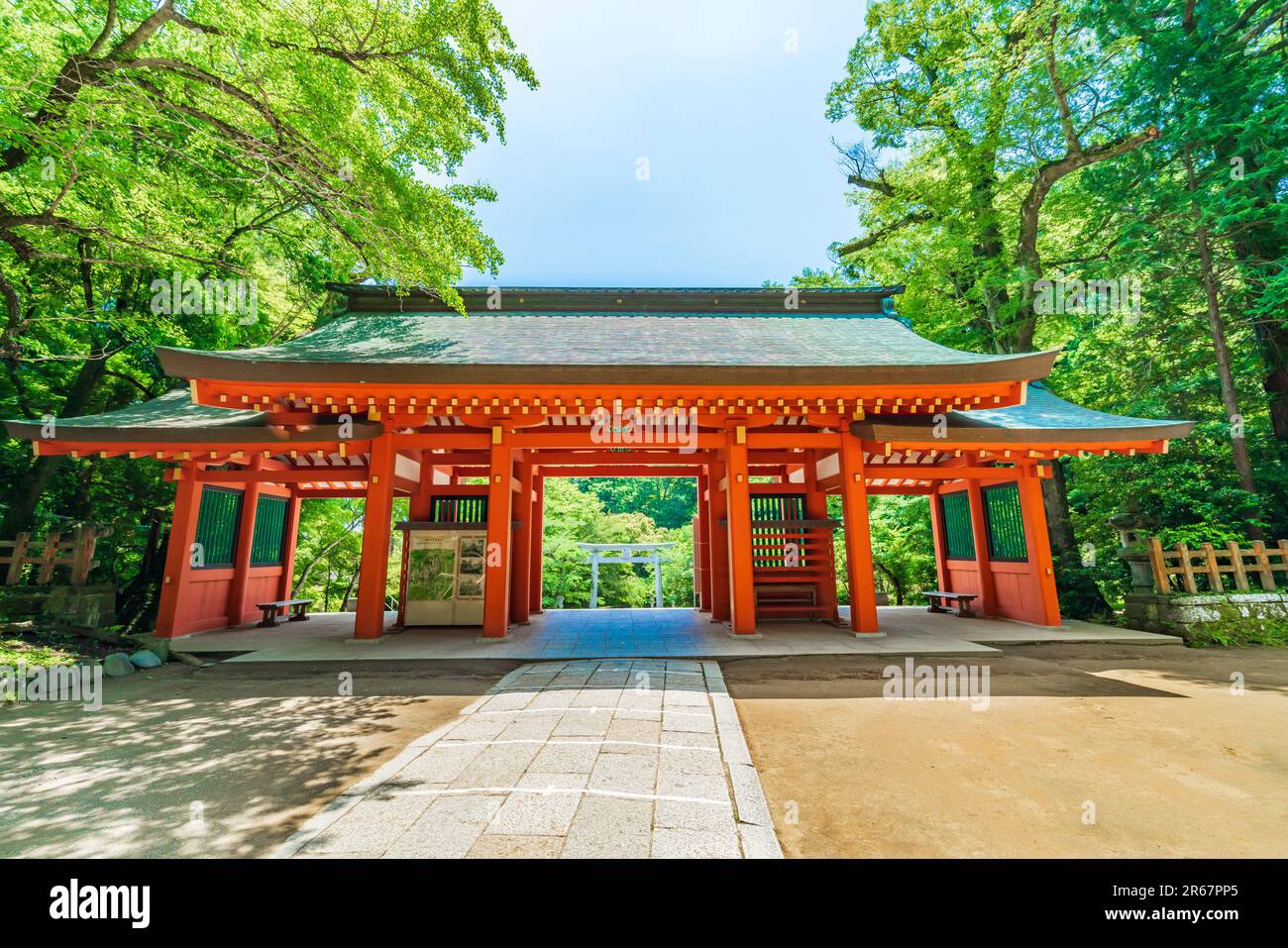 Katori Jingu Shrine in fresh green Stock Photo - Alamy