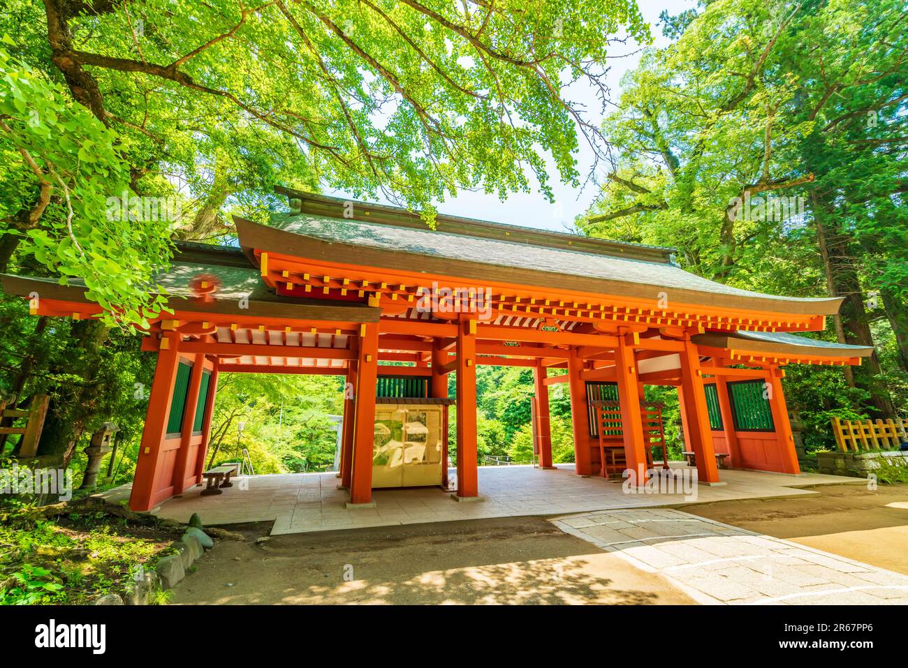 Katori Jingu Shrine in fresh green Stock Photo - Alamy