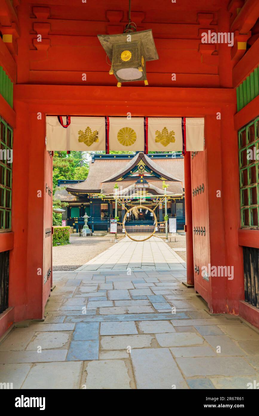 Katori Jingu Shrine in fresh green Stock Photo - Alamy