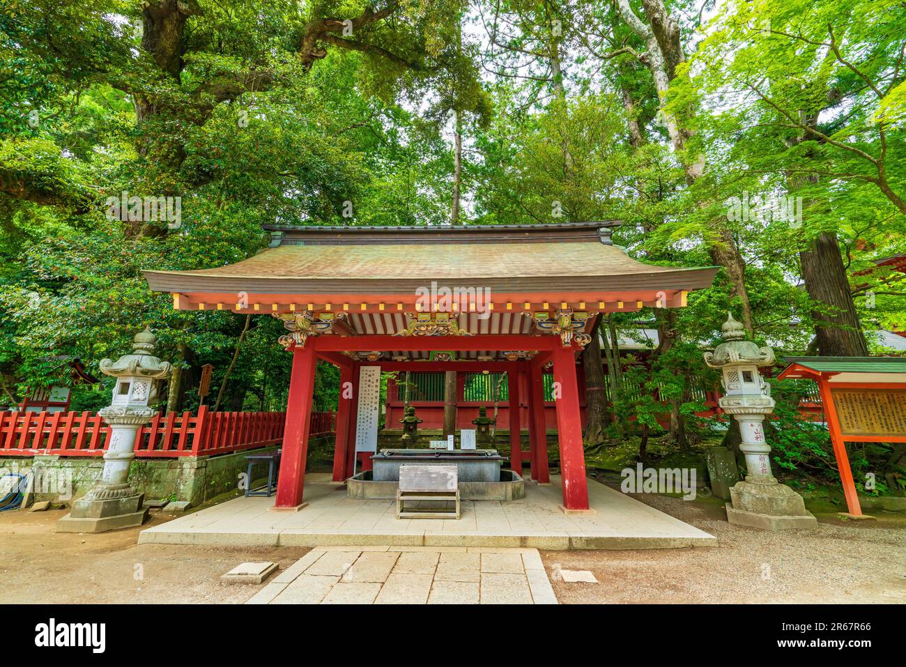 Katori Jingu Shrine in fresh green Stock Photo - Alamy
