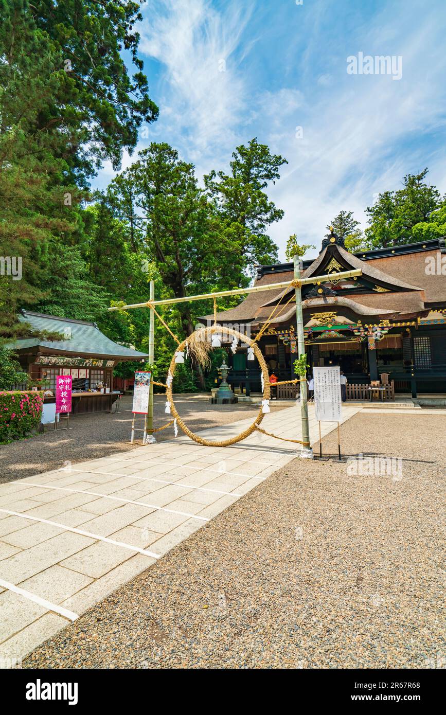 Katori Jingu Shrine in fresh green Stock Photo - Alamy