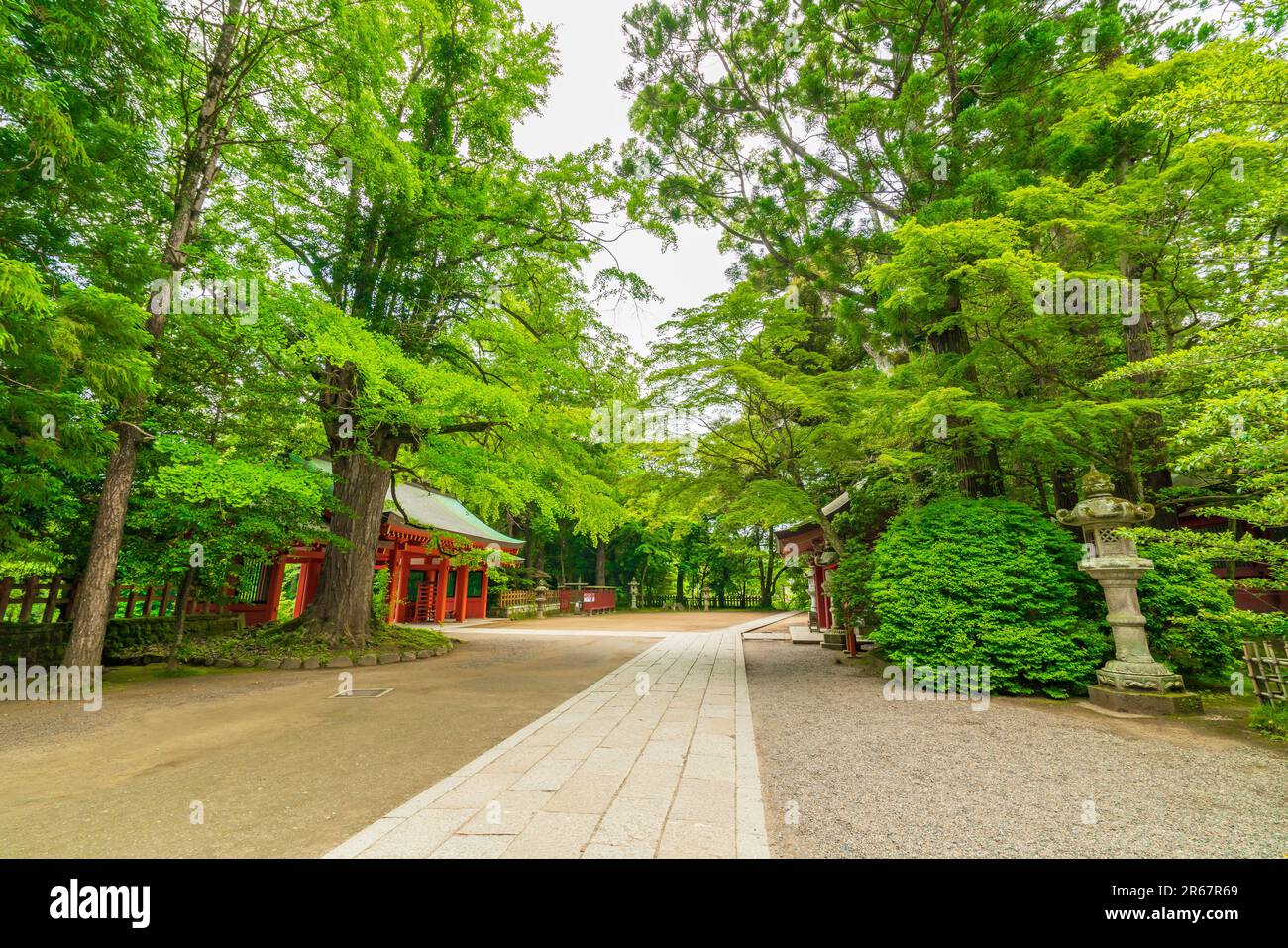 Katori jingu shrine temple hi-res stock photography and images - Alamy