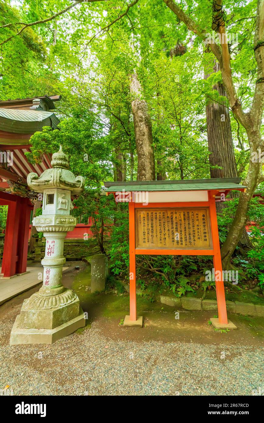 Katori jingu shrine hi-res stock photography and images - Alamy