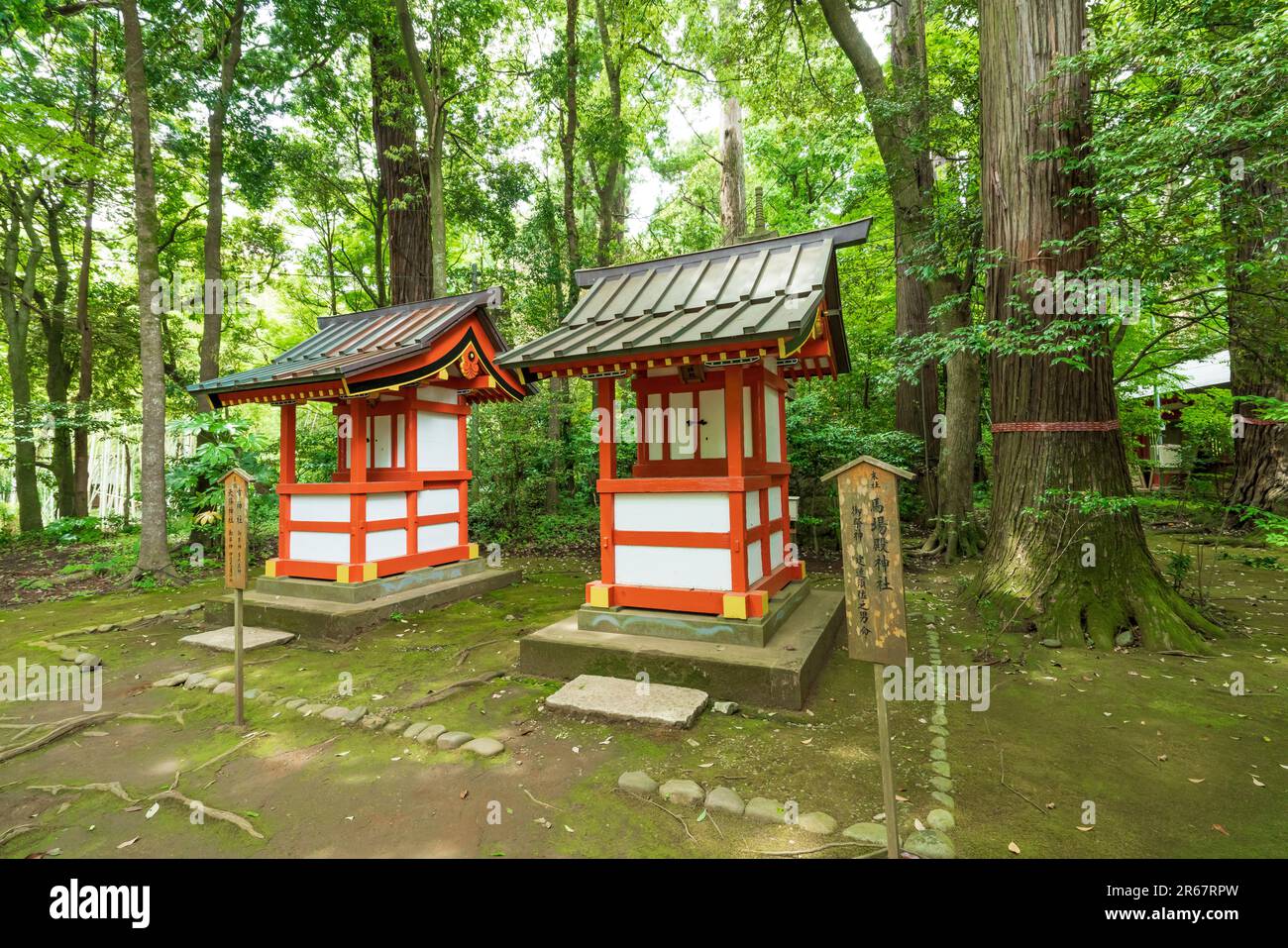 Katori shrine hi-res stock photography and images - Alamy