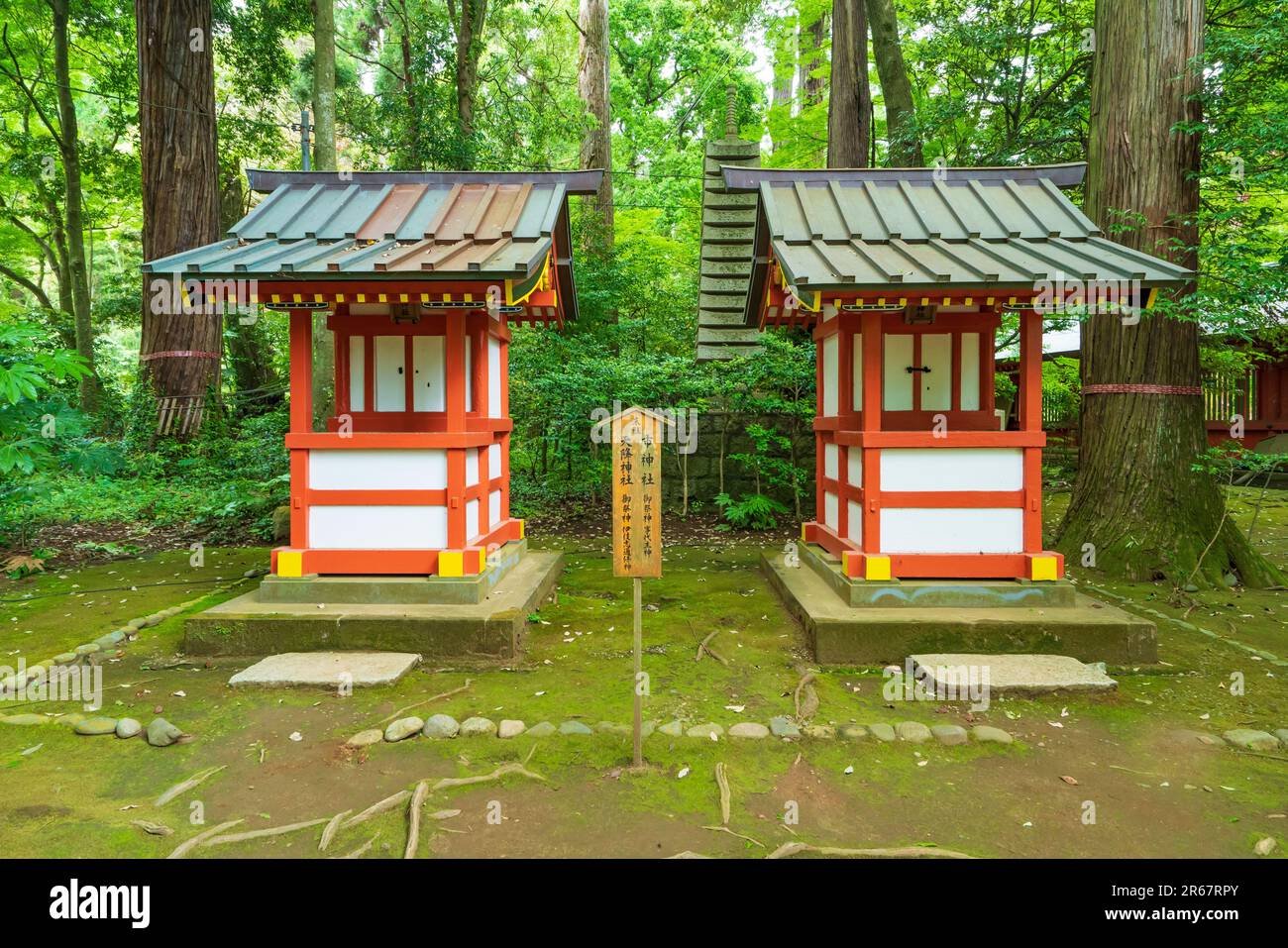 Katori Jingu Shrine in fresh green Stock Photo - Alamy