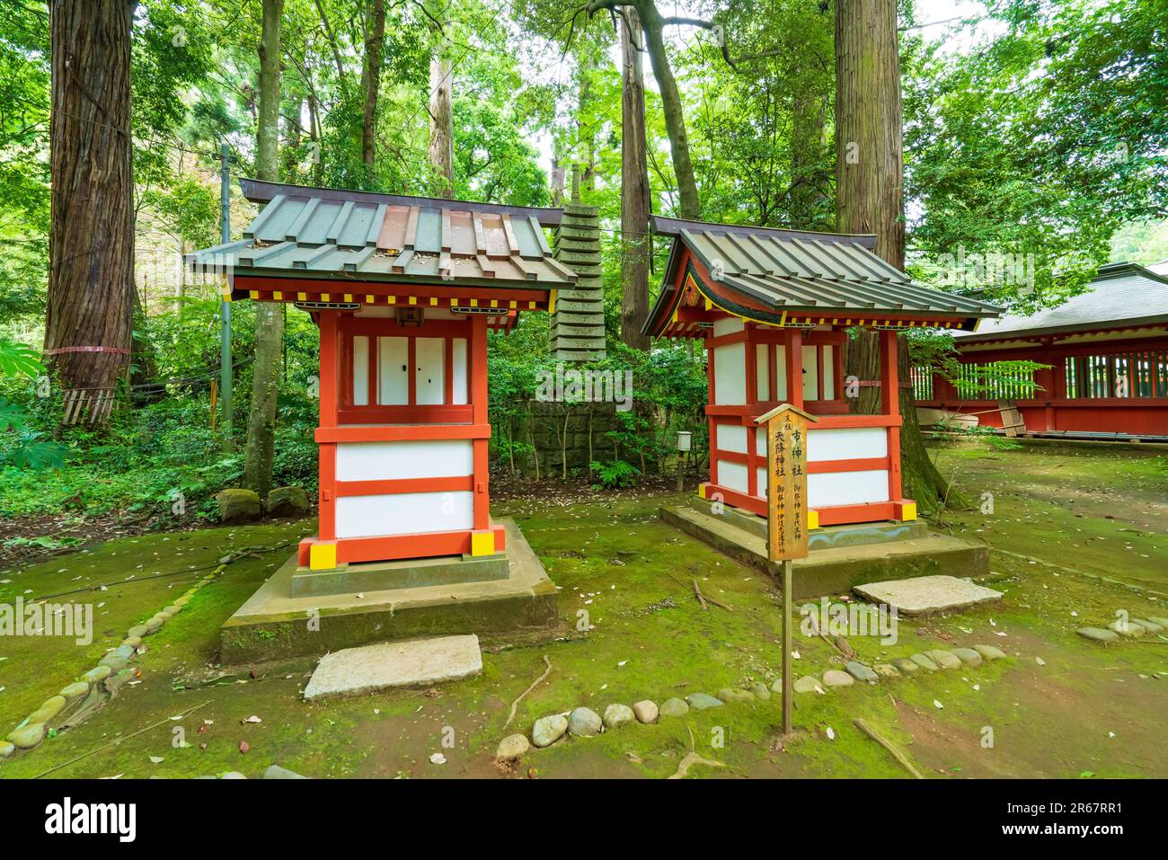 Katori Jingu Shrine in fresh green Stock Photo - Alamy