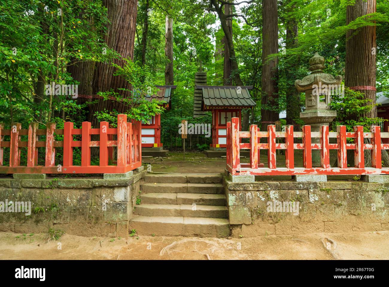 Katori Jingu Shrine in fresh green Stock Photo - Alamy