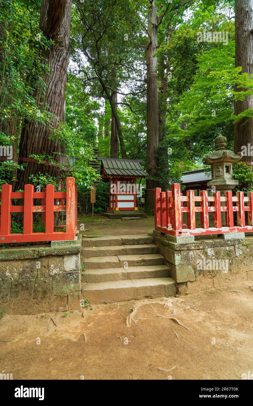 Katori Jingu Shrine in fresh green Stock Photo - Alamy