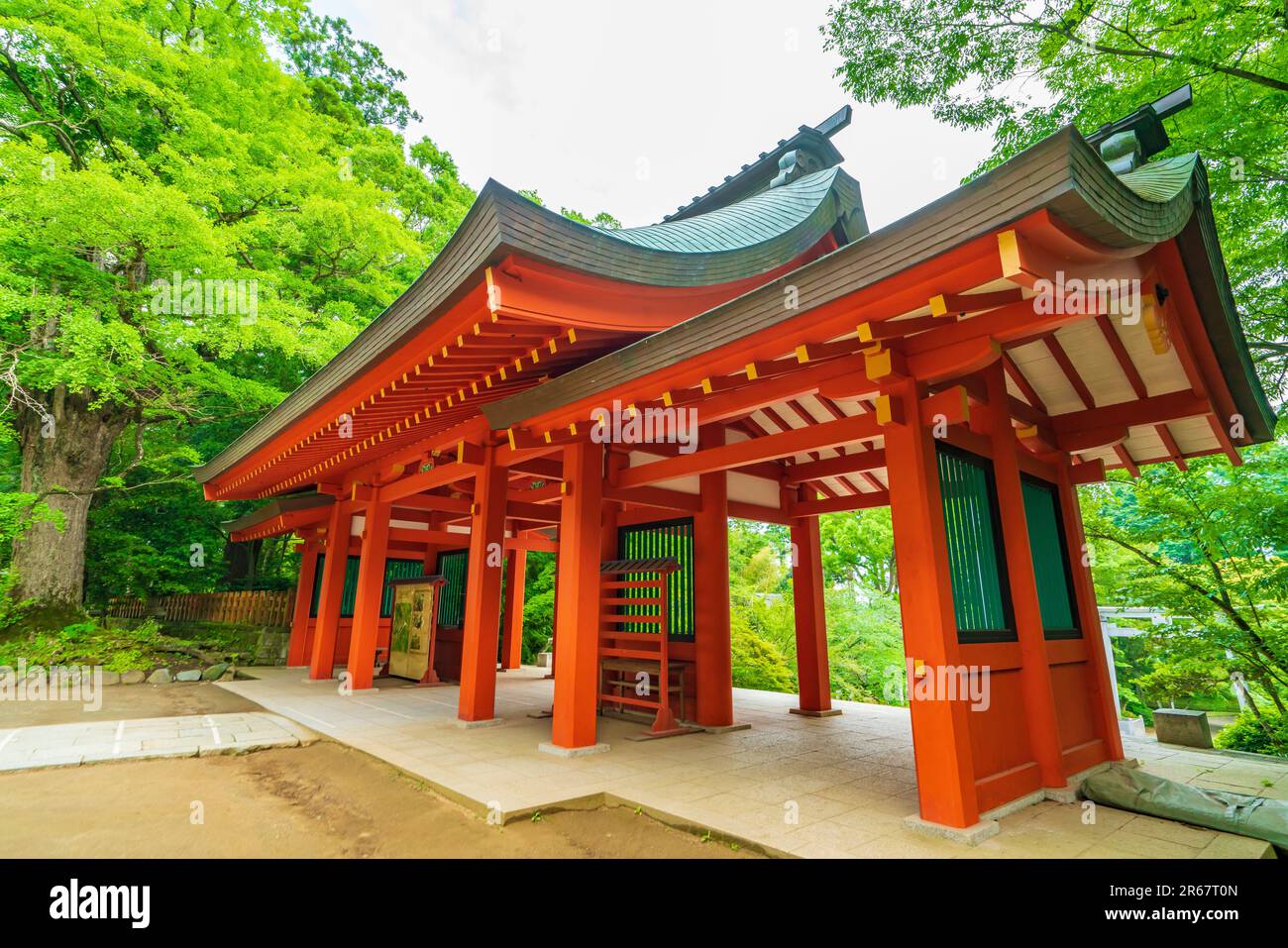 Katori Jingu Shrine in fresh green Stock Photo - Alamy