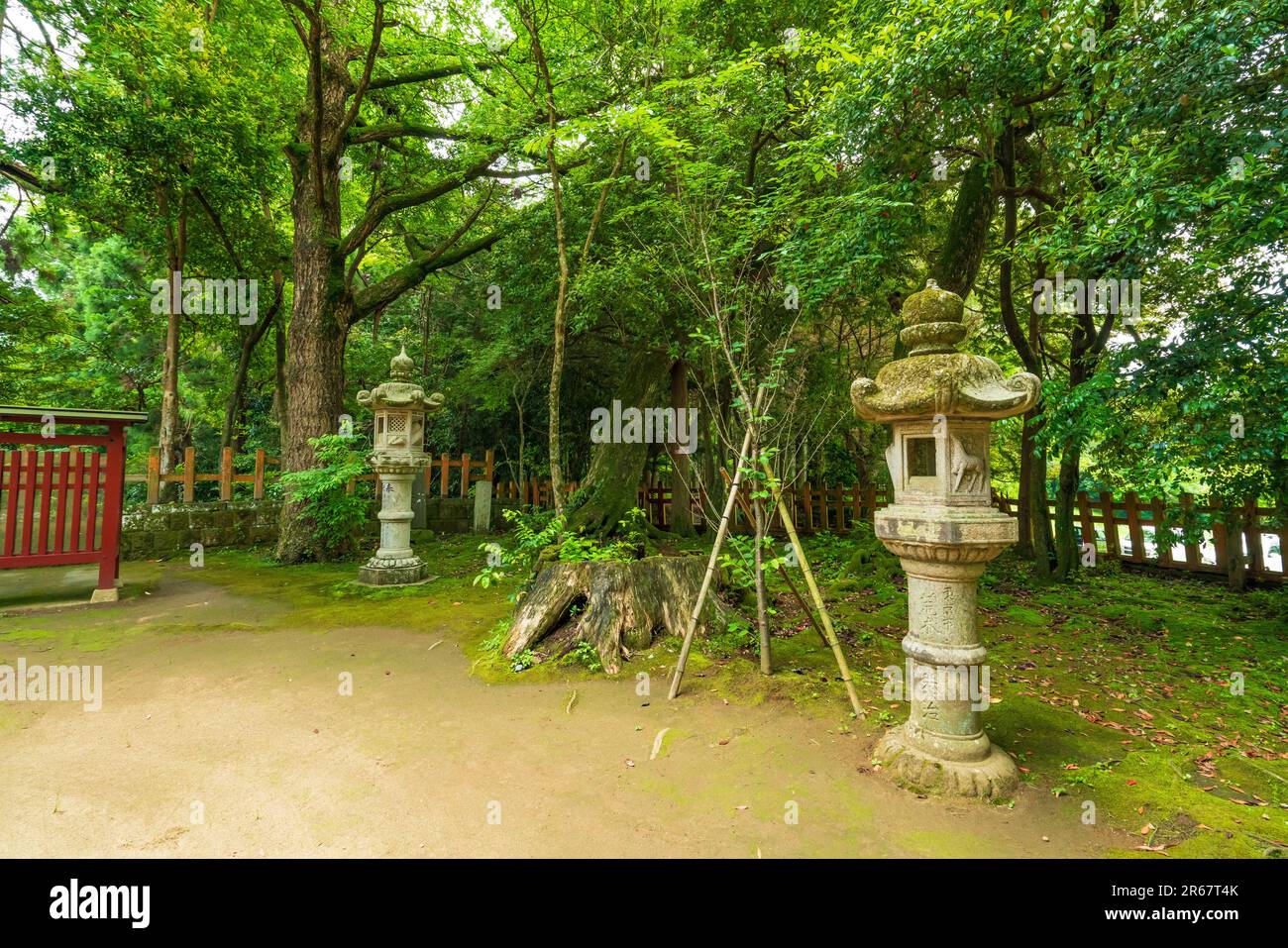 Katori Jingu Shrine in fresh green Stock Photo - Alamy