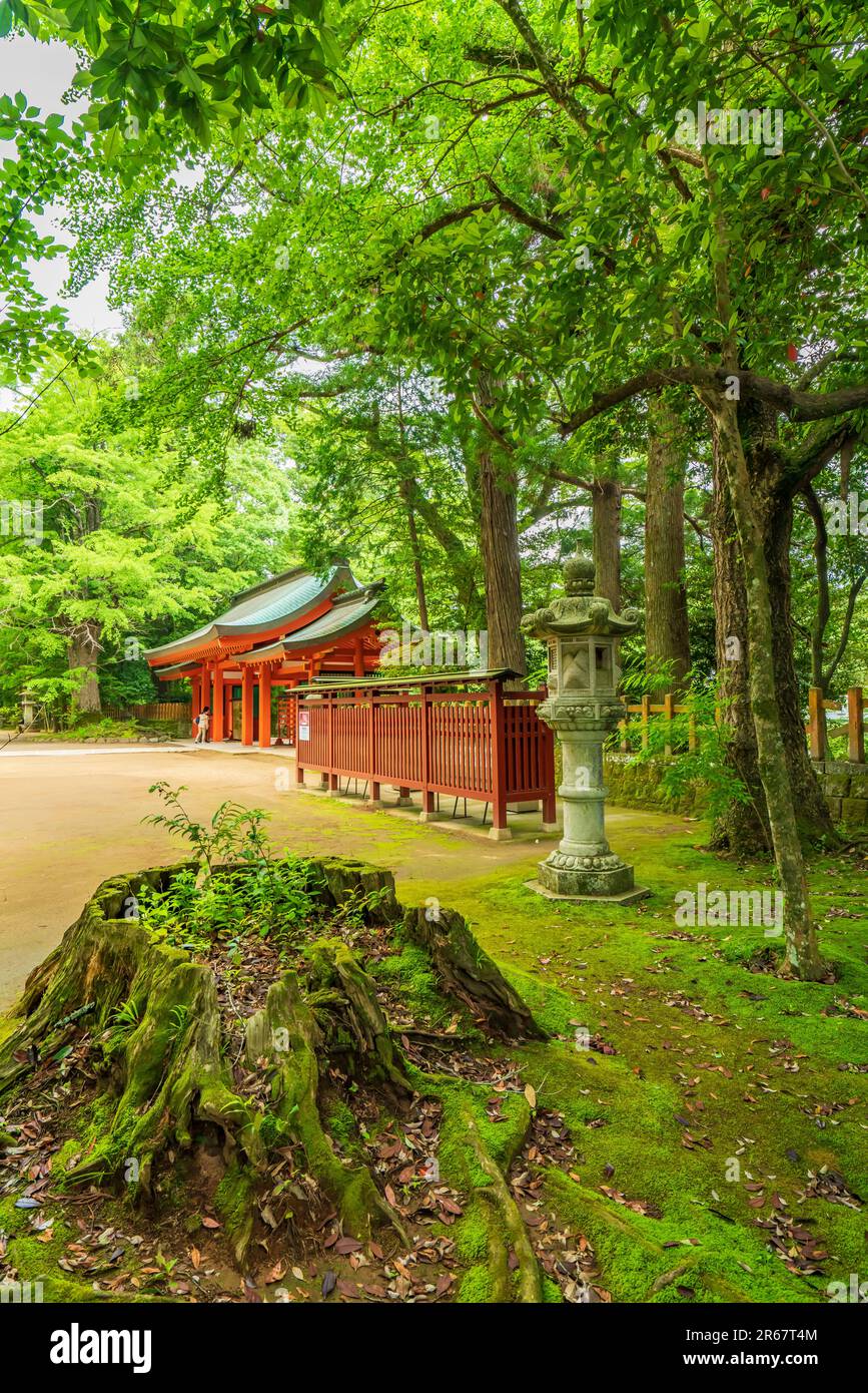 Katori jingu shrine hi-res stock photography and images - Alamy