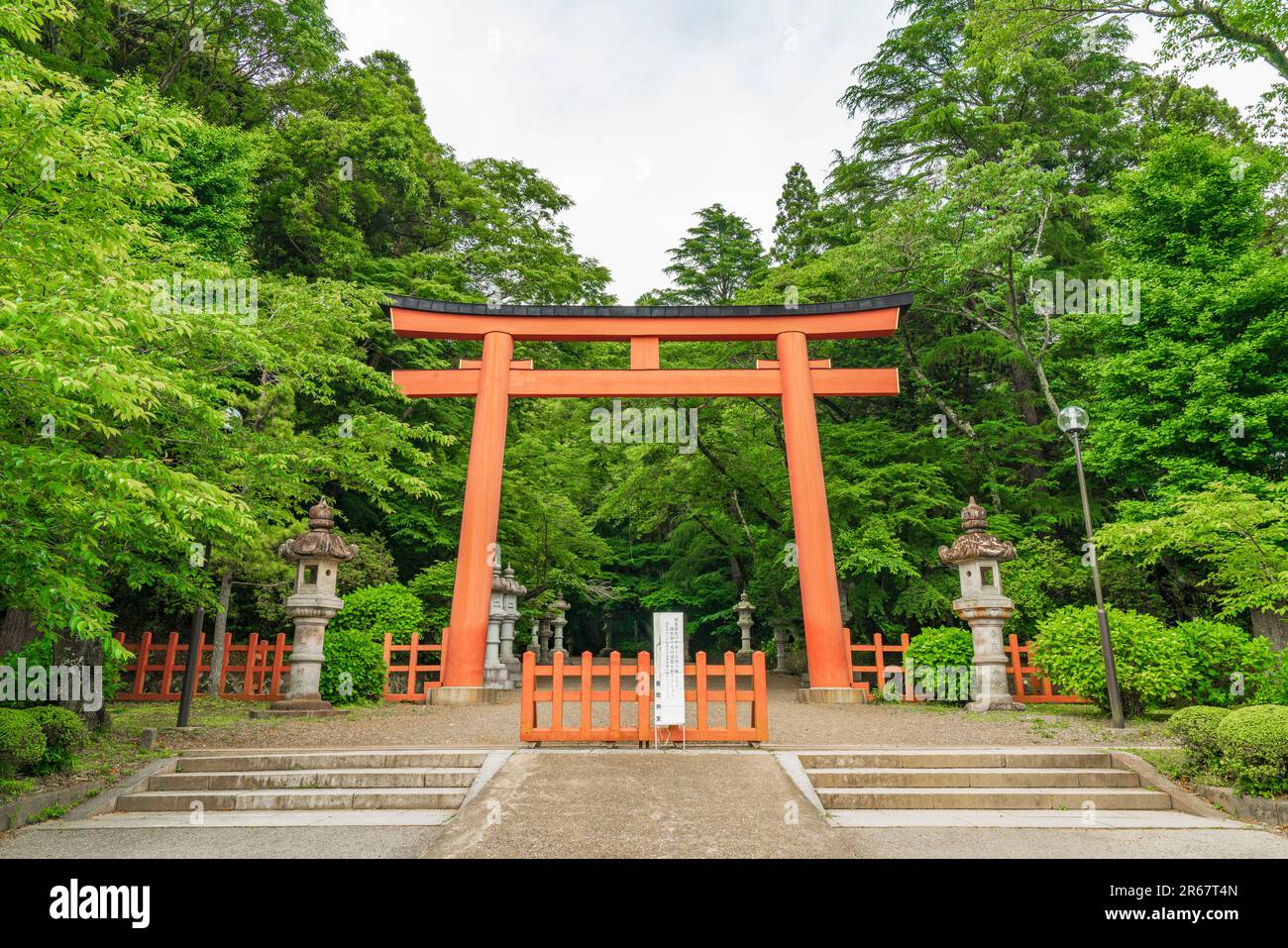 Katori Jingu Shrine in fresh green Stock Photo - Alamy