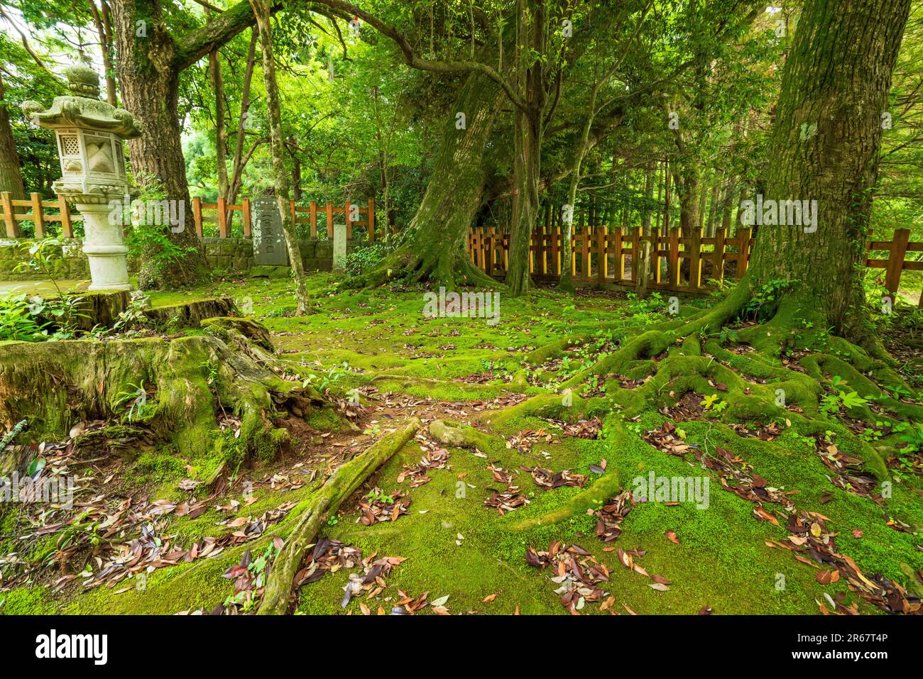 Katori jingu shrine temple hi-res stock photography and images - Alamy