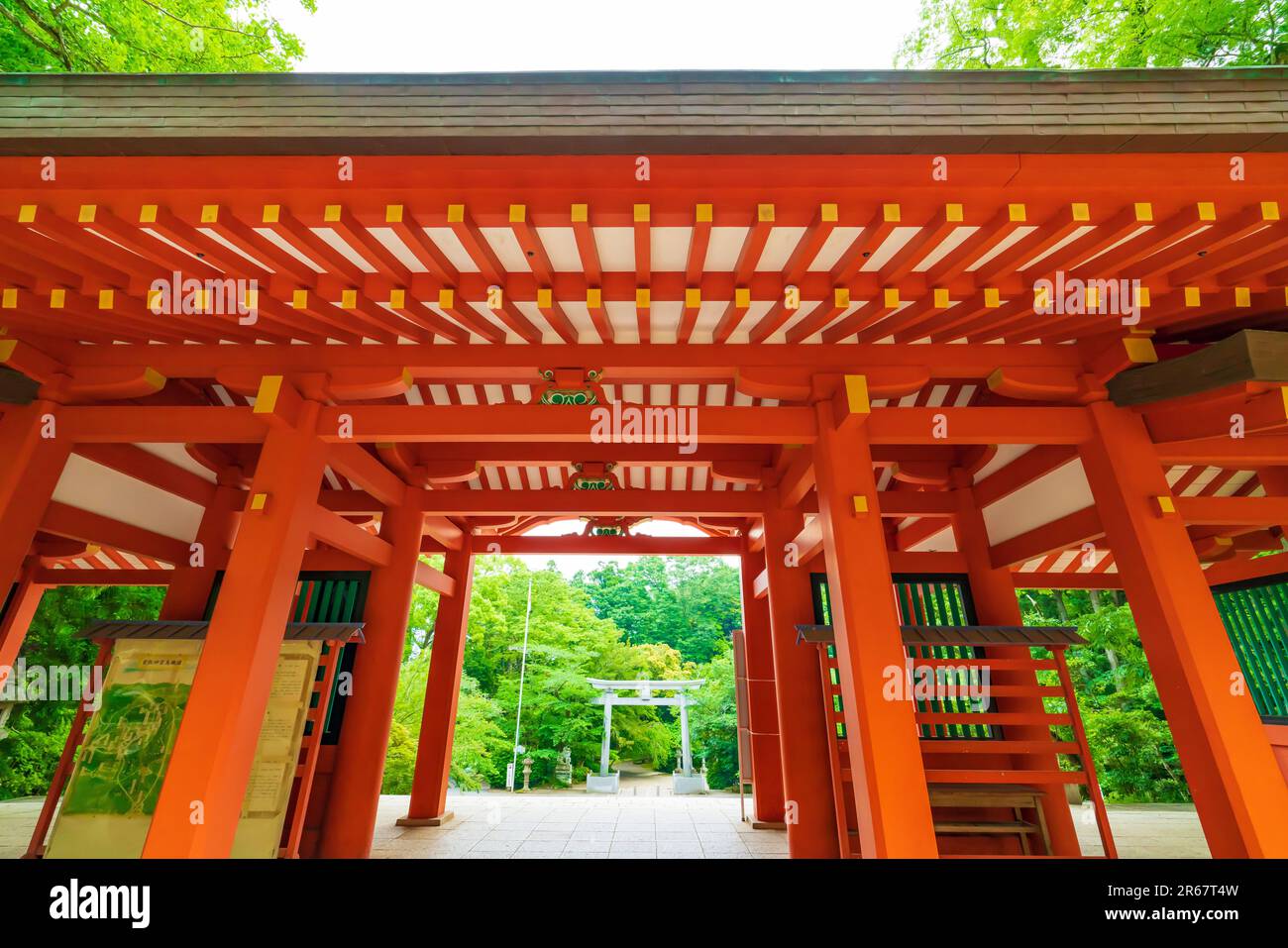 Katori Jingu Shrine in fresh green Stock Photo - Alamy