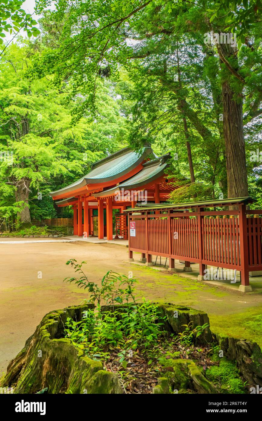 Katori jingu shrine hi-res stock photography and images - Alamy