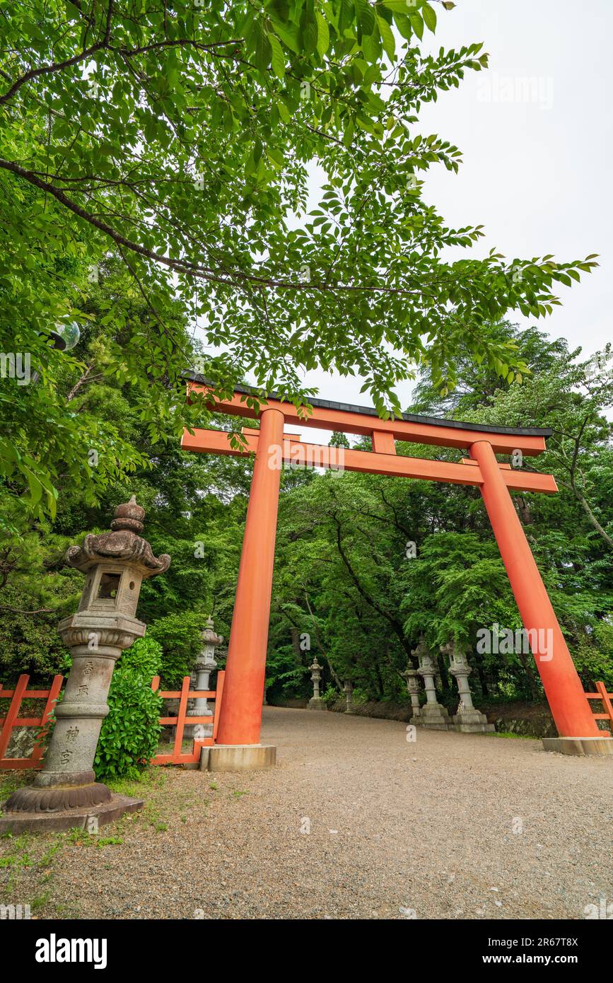 Katori Jingu Shrine in fresh green Stock Photo - Alamy
