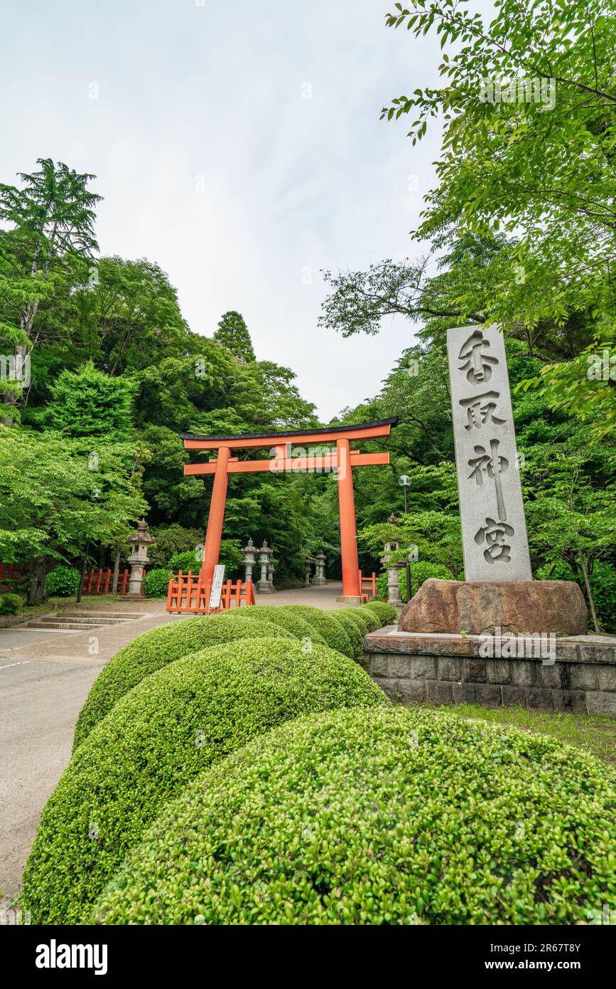 Katori Jingu Shrine in fresh green Stock Photo - Alamy