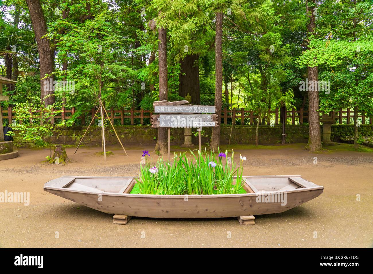 Katori Jingu in early summer Stock Photo - Alamy