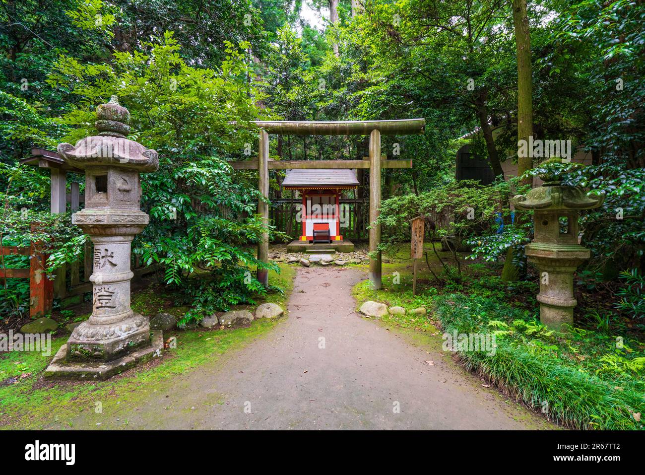 Katori Jingu in early summer Stock Photo - Alamy