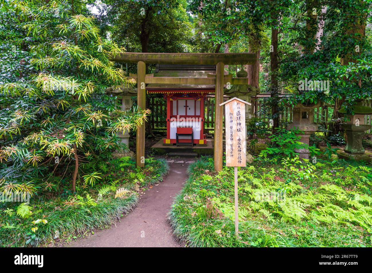 Katori Jingu in early summer Stock Photo - Alamy