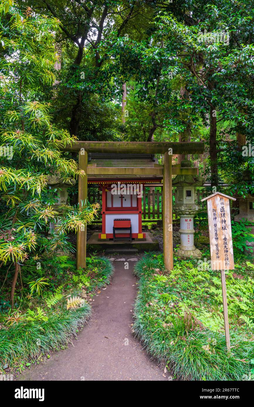 Katori Jingu in early summer Stock Photo - Alamy