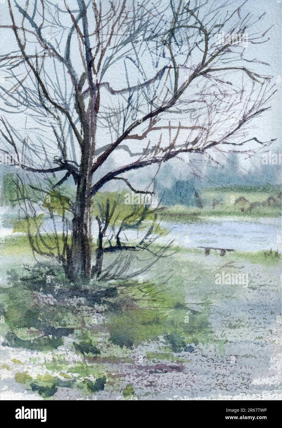 Spring landscape with a branching tree and a bench against the ...