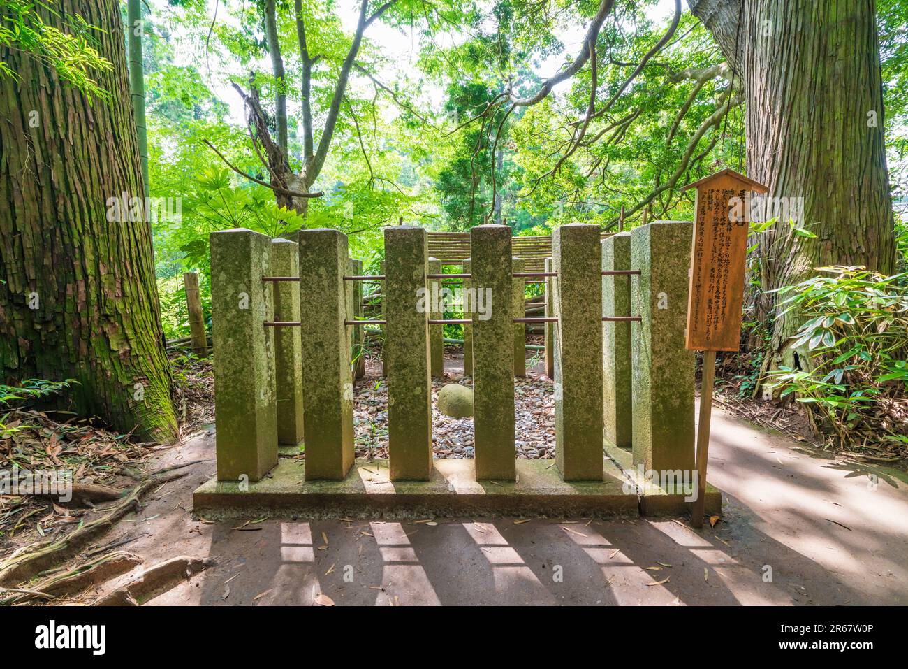 Katori Jingu in early summer Stock Photo - Alamy