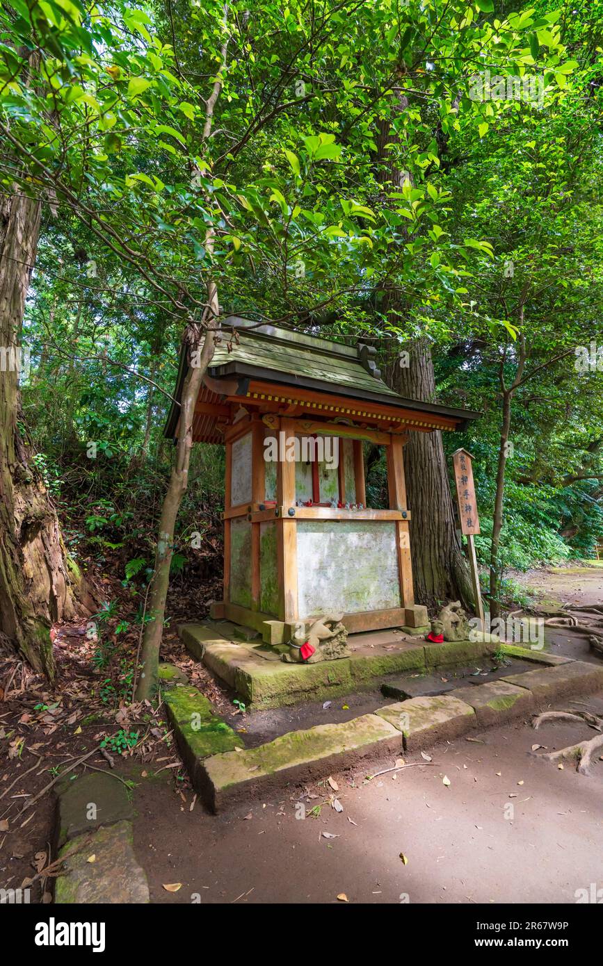 Katori hi-res stock photography and images - Alamy