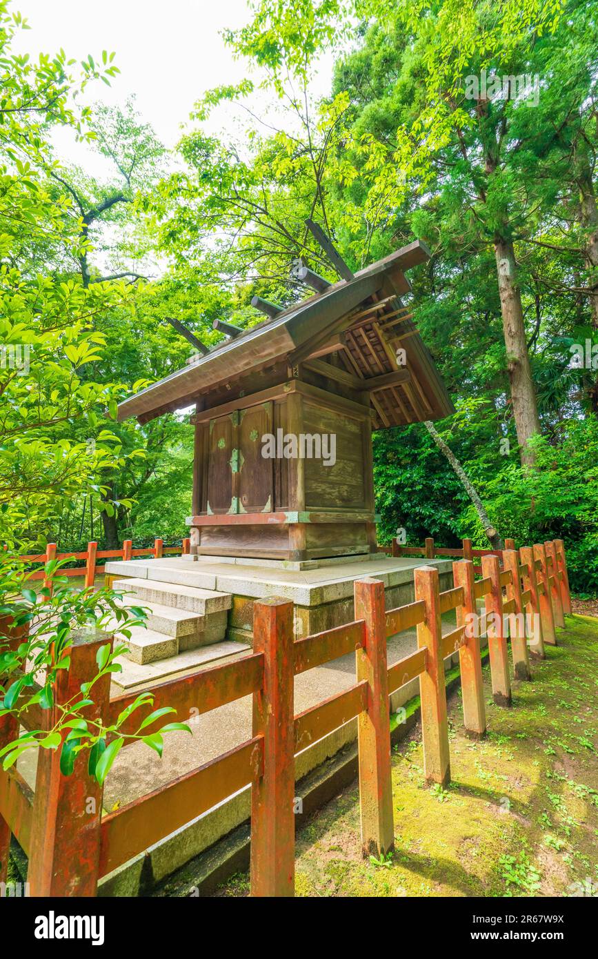 Katori Jingu in early summer Stock Photo - Alamy