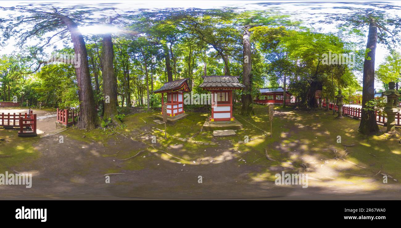 Katori Jingu in early summer Stock Photo - Alamy