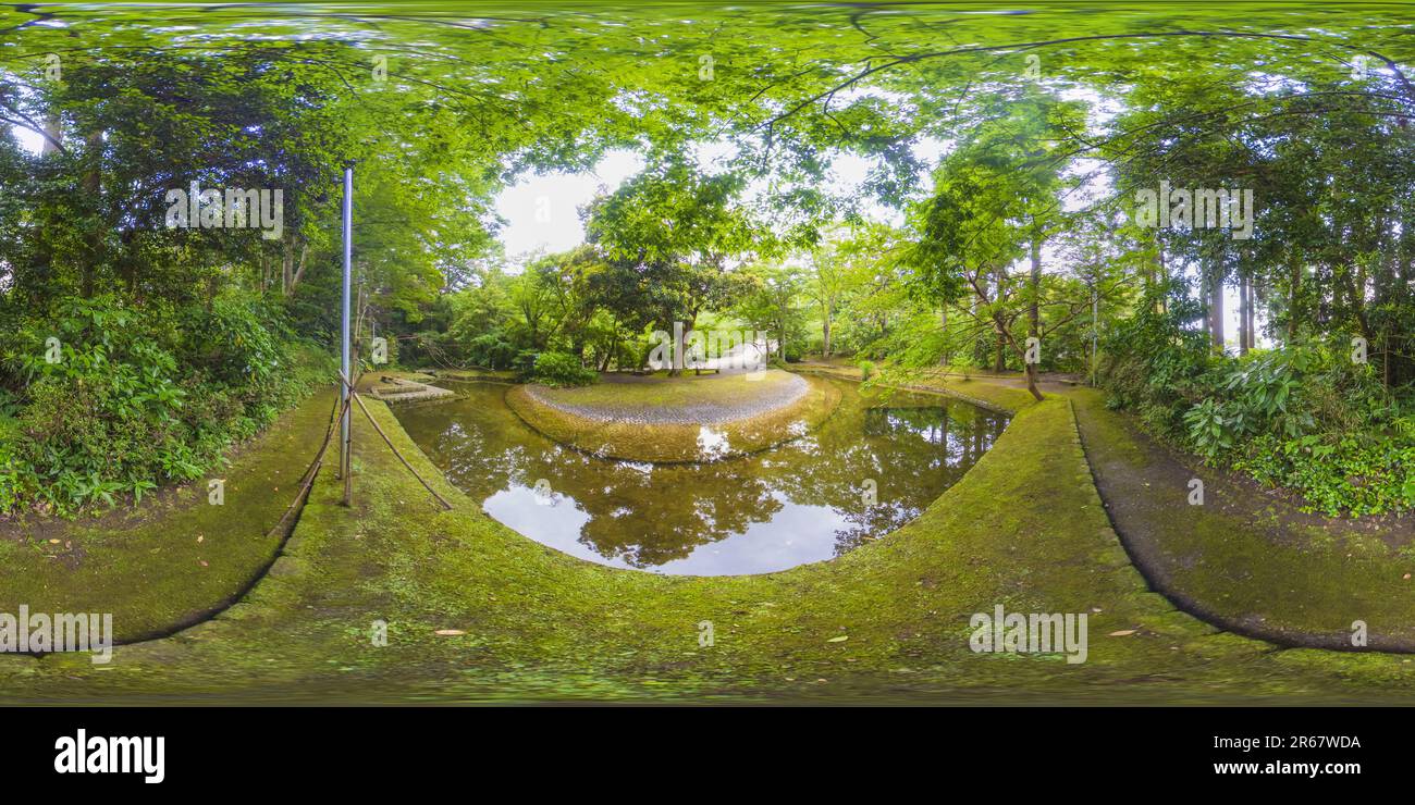 Katori Jingu in early summer Stock Photo - Alamy
