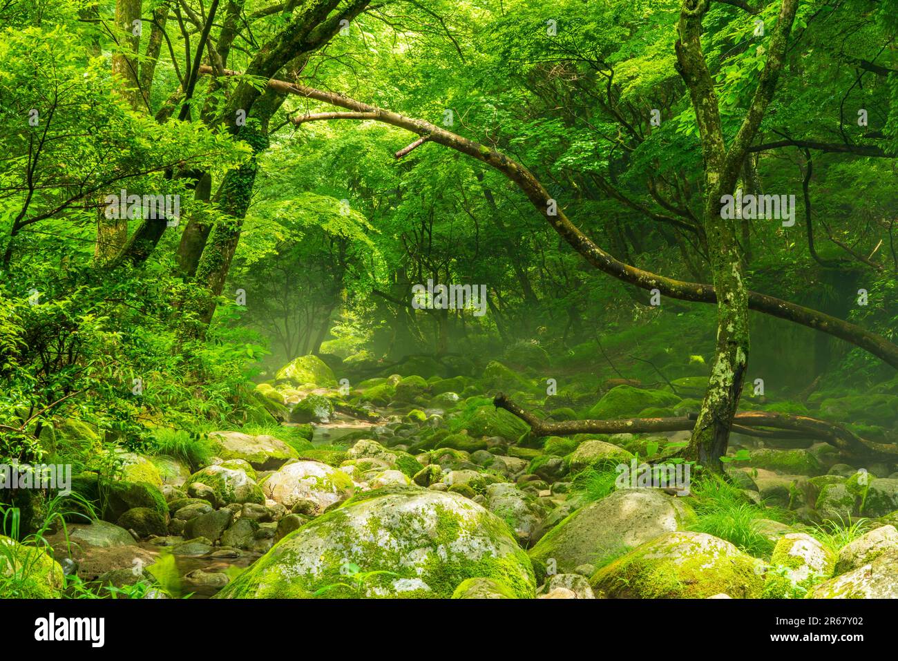 Lush green Hananuki Valley Stock Photo - Alamy