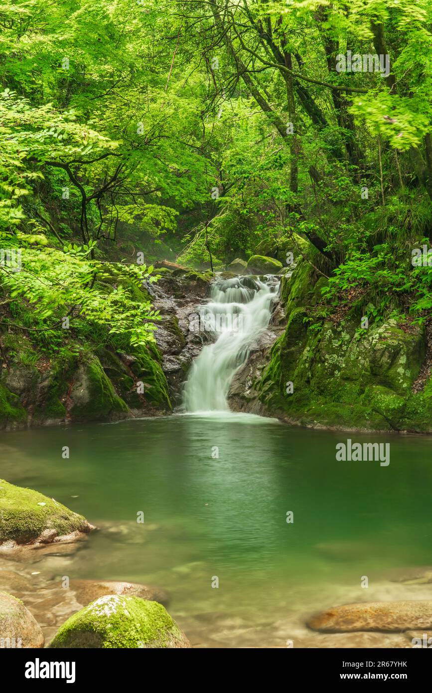 Lush green Hananuki Valley Stock Photo - Alamy