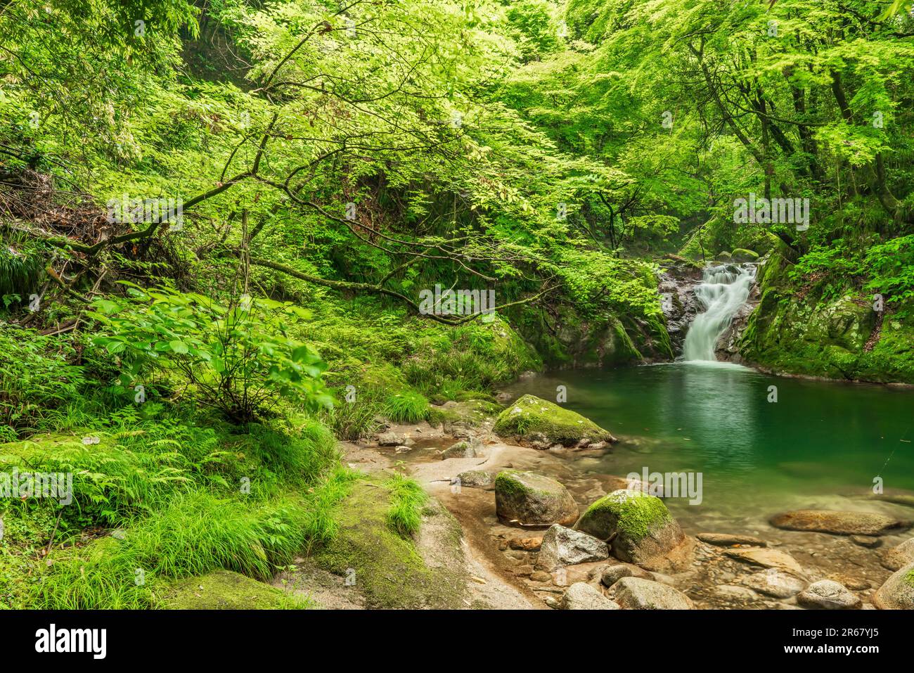 Lush green Hananuki Valley Stock Photo - Alamy