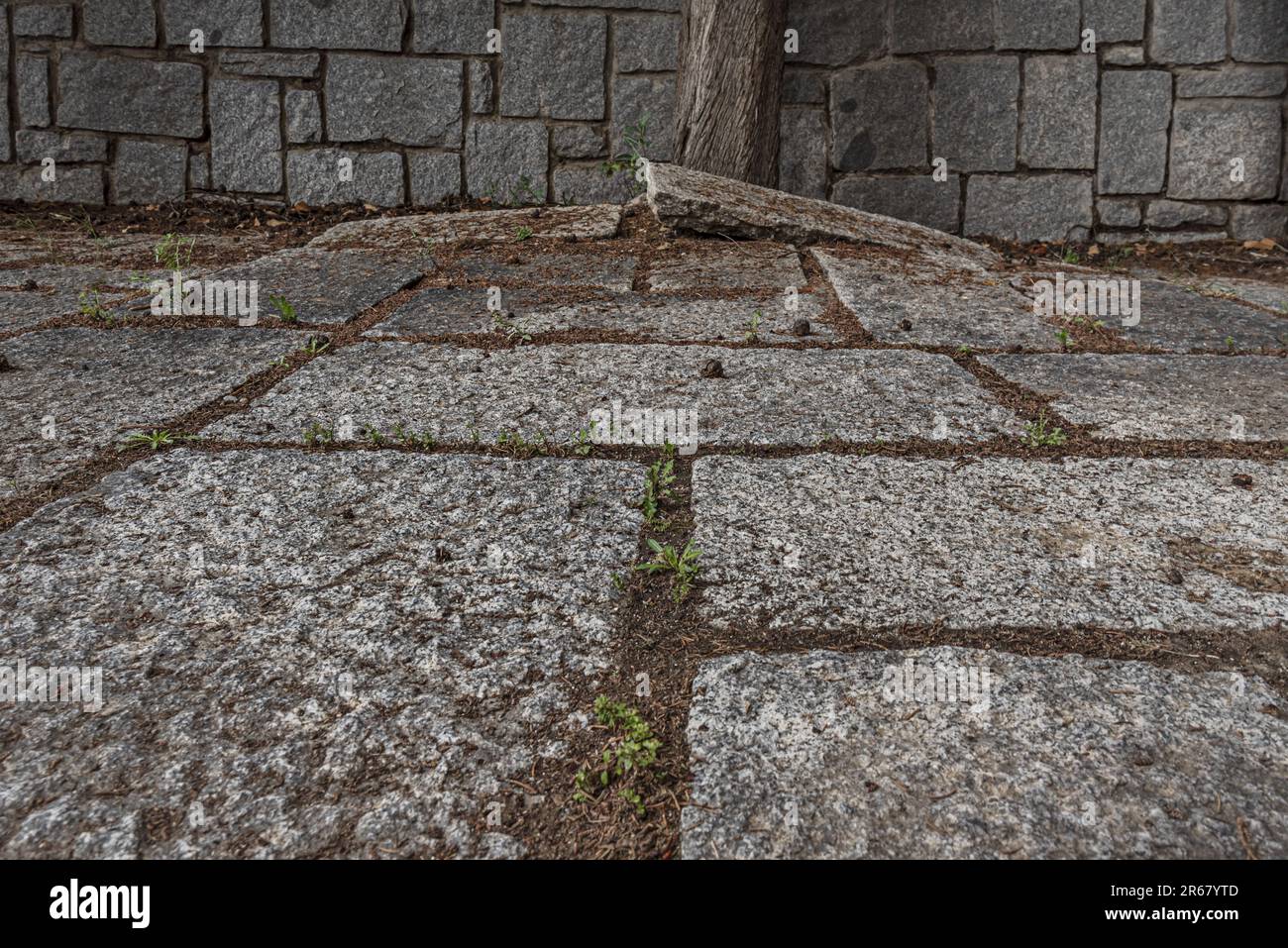 A walled corner of a park with cypress trees raising the gray granite ...