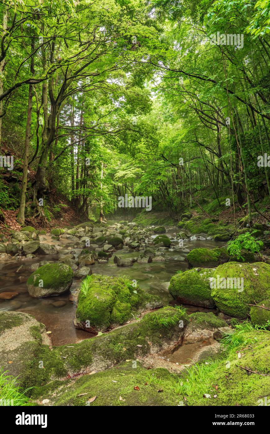 Lush green Hananuki Valley Stock Photo - Alamy
