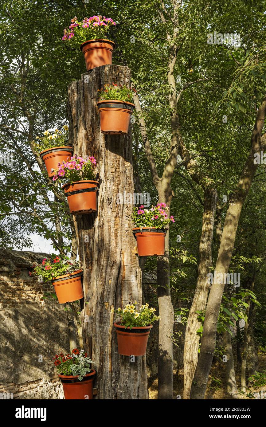 Flower laden balcony hi-res stock photography and images - Alamy