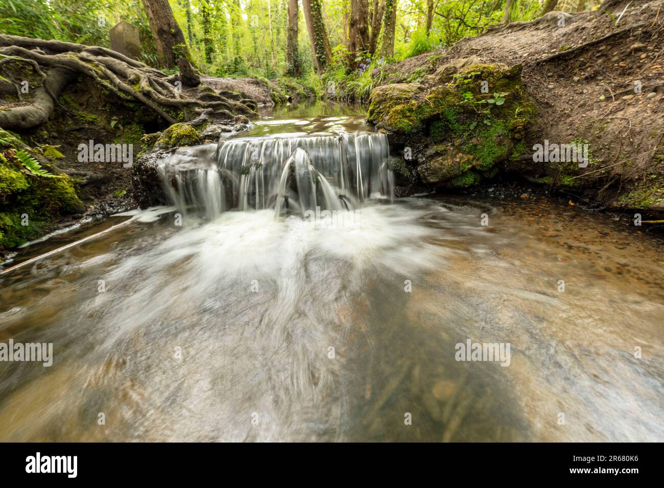 Intimate cascade waterfall landscape in the woodlands of Keston Ponds ...
