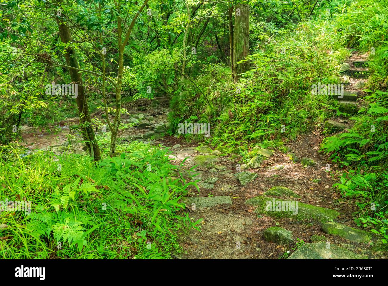 Lush green Hananuki Valley Stock Photo - Alamy