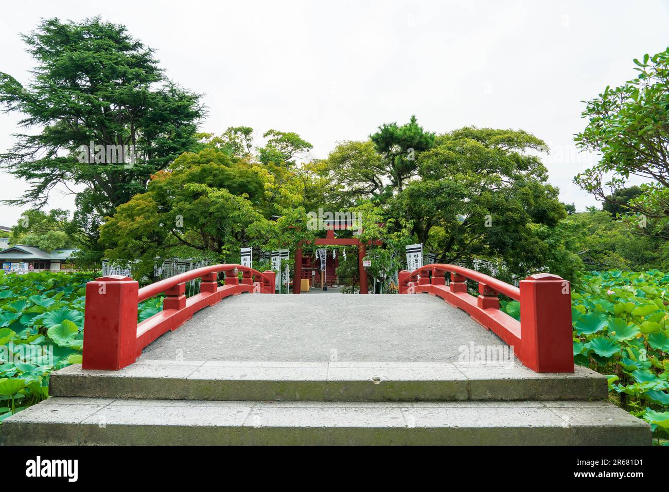 Tsurugaoka Hachimangu Shrine and Hatagami Benzaiten Shrine Stock Photo ...