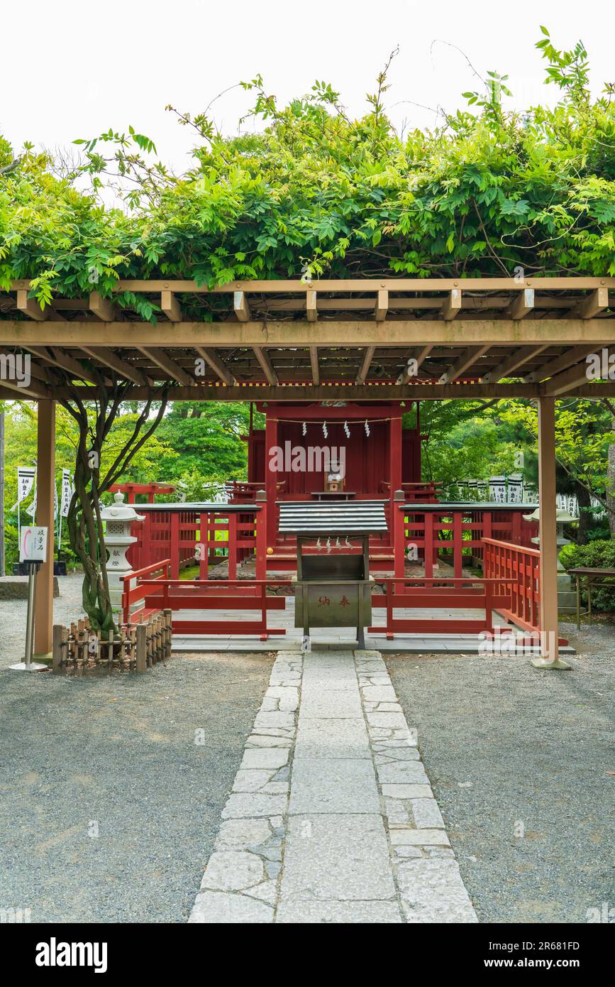 Tsurugaoka Hachimangu Shrine and Hatagami Benzaiten Shrine Stock Photo ...