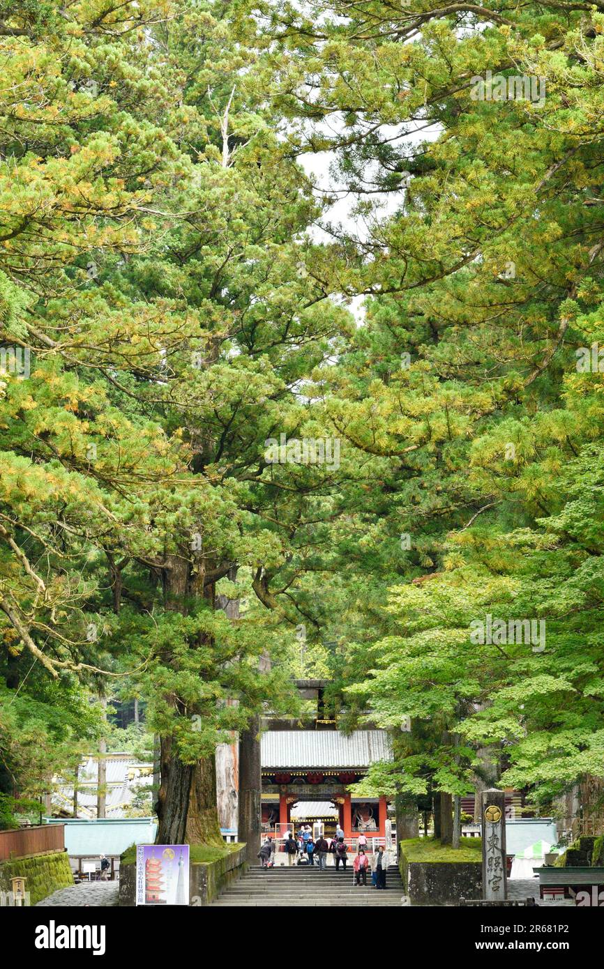 Nikko 7 hi-res stock photography and images - Alamy